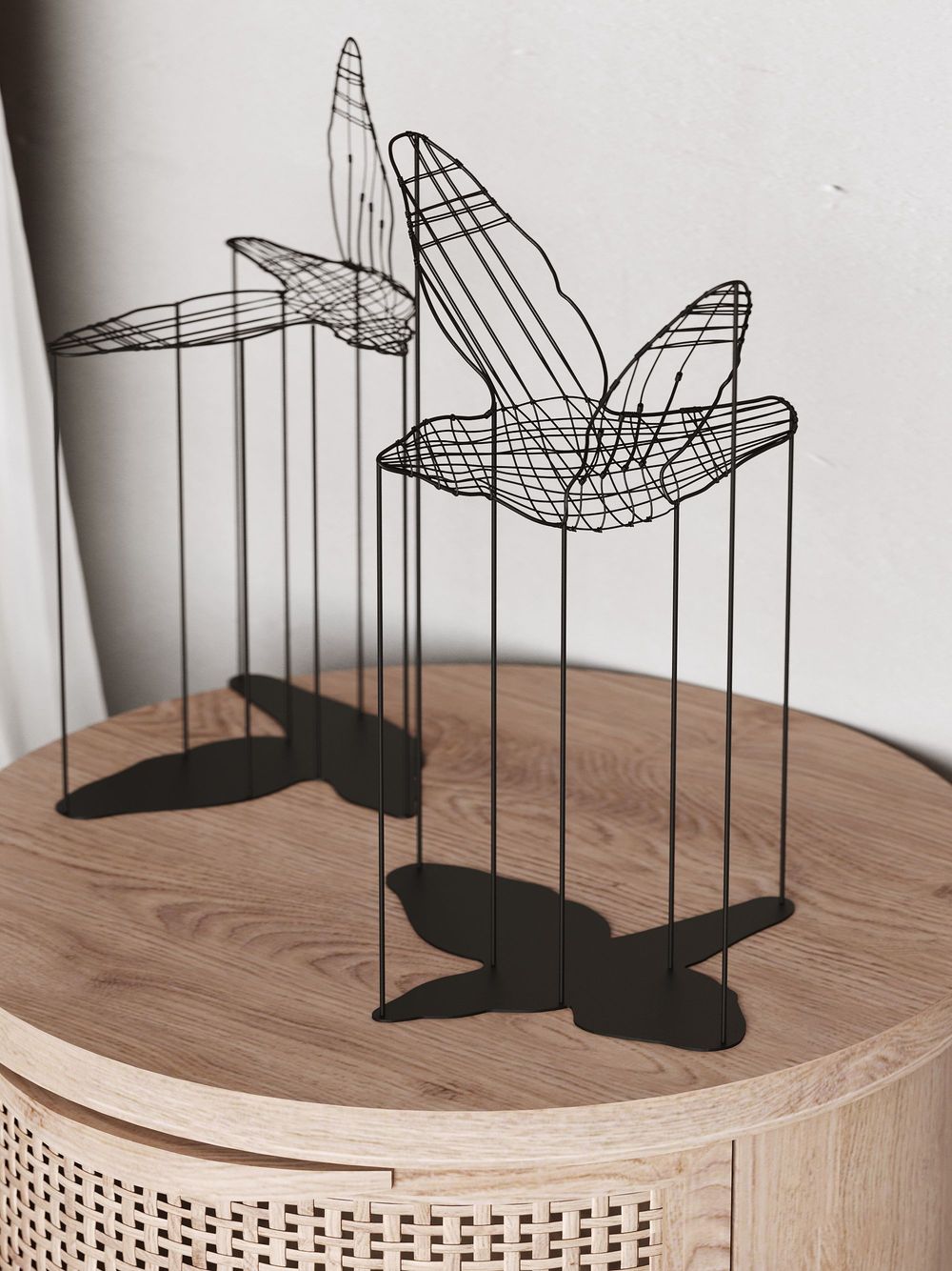 FLIGHT SHADOWS